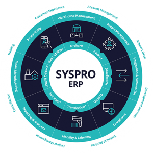 About NexSys | Who are NexSys